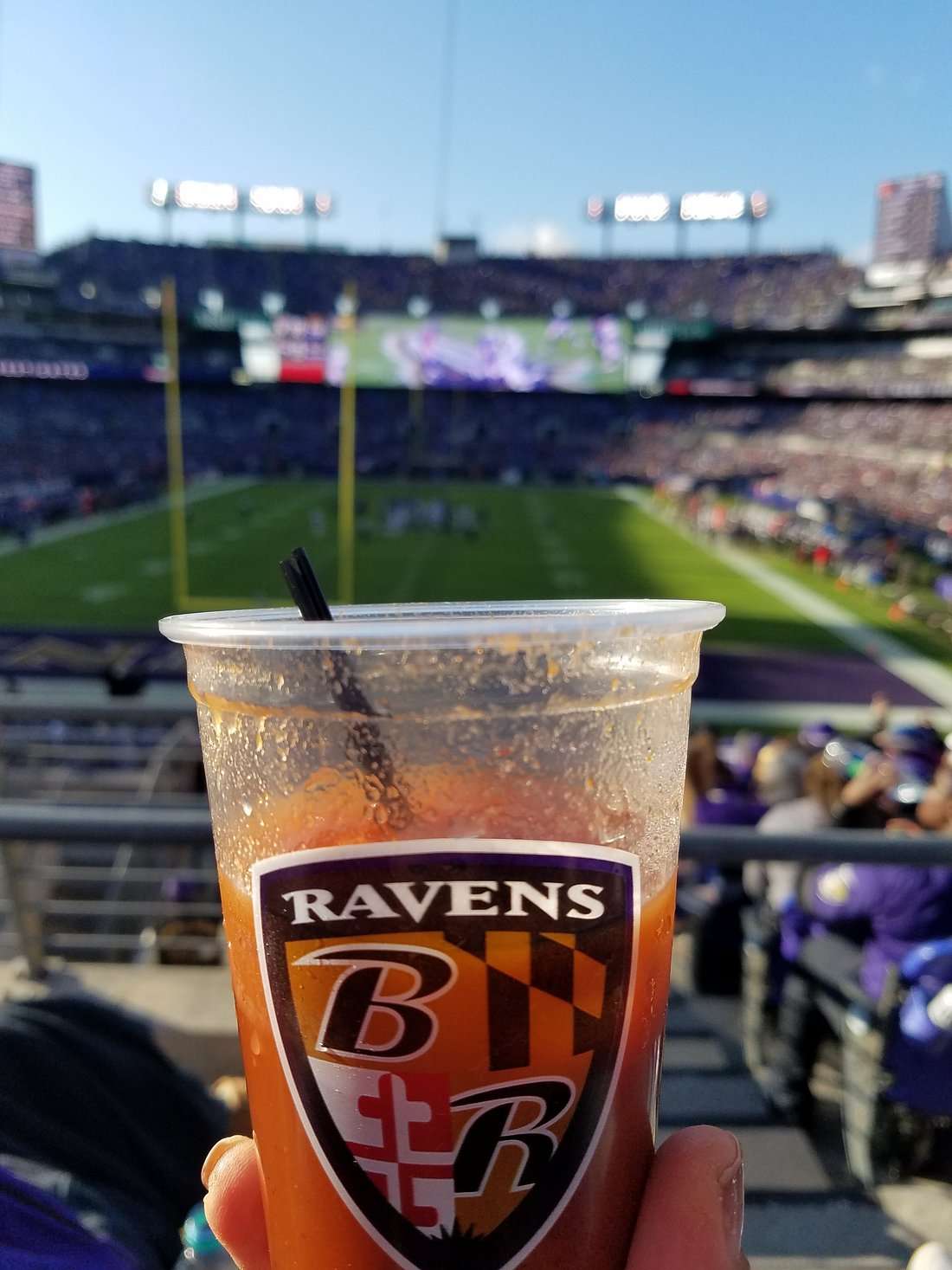 The Best Seats for Baltimore Ravens at M&T Bank Stadium - SeatSecrets
