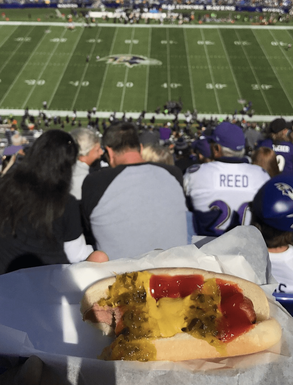 The Best Seats for Baltimore Ravens at M&T Bank Stadium - SeatSecrets
