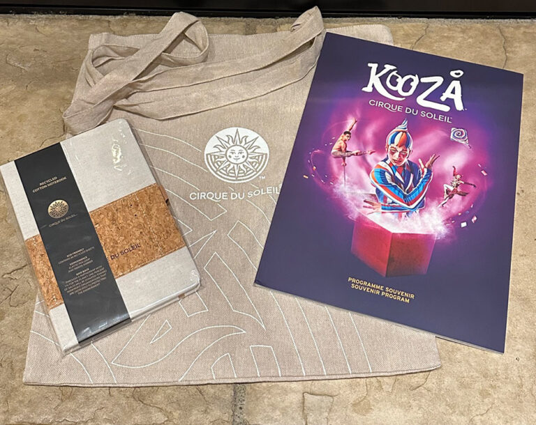 Side Seats vs. Center Seats: A Guide to Kooza by Cirque du Soleil