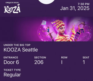 Side Seats vs. Center Seats: A Guide to Kooza by Cirque du Soleil