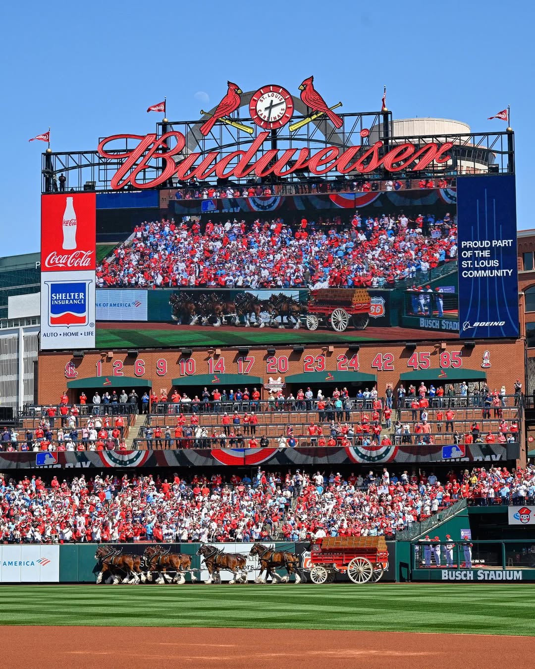 The Best Seats for the St. Louis Cardinals at Busch Stadium