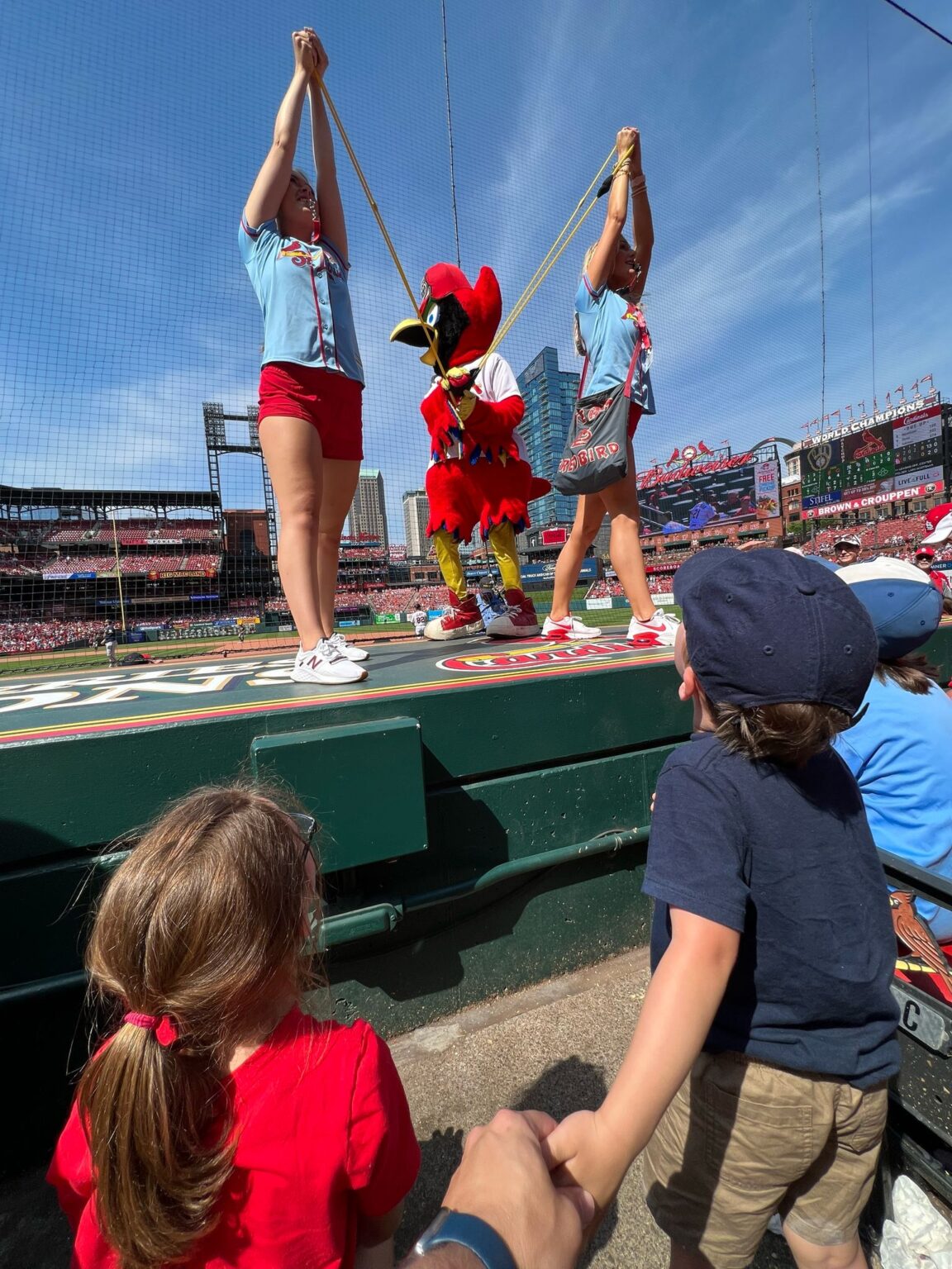 The Best Seats for the St. Louis Cardinals at Busch Stadium
